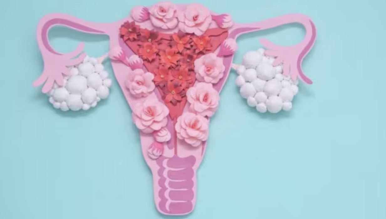 Ovarian Cyst: Types, Causes, and Symptoms - ivfmohali.com